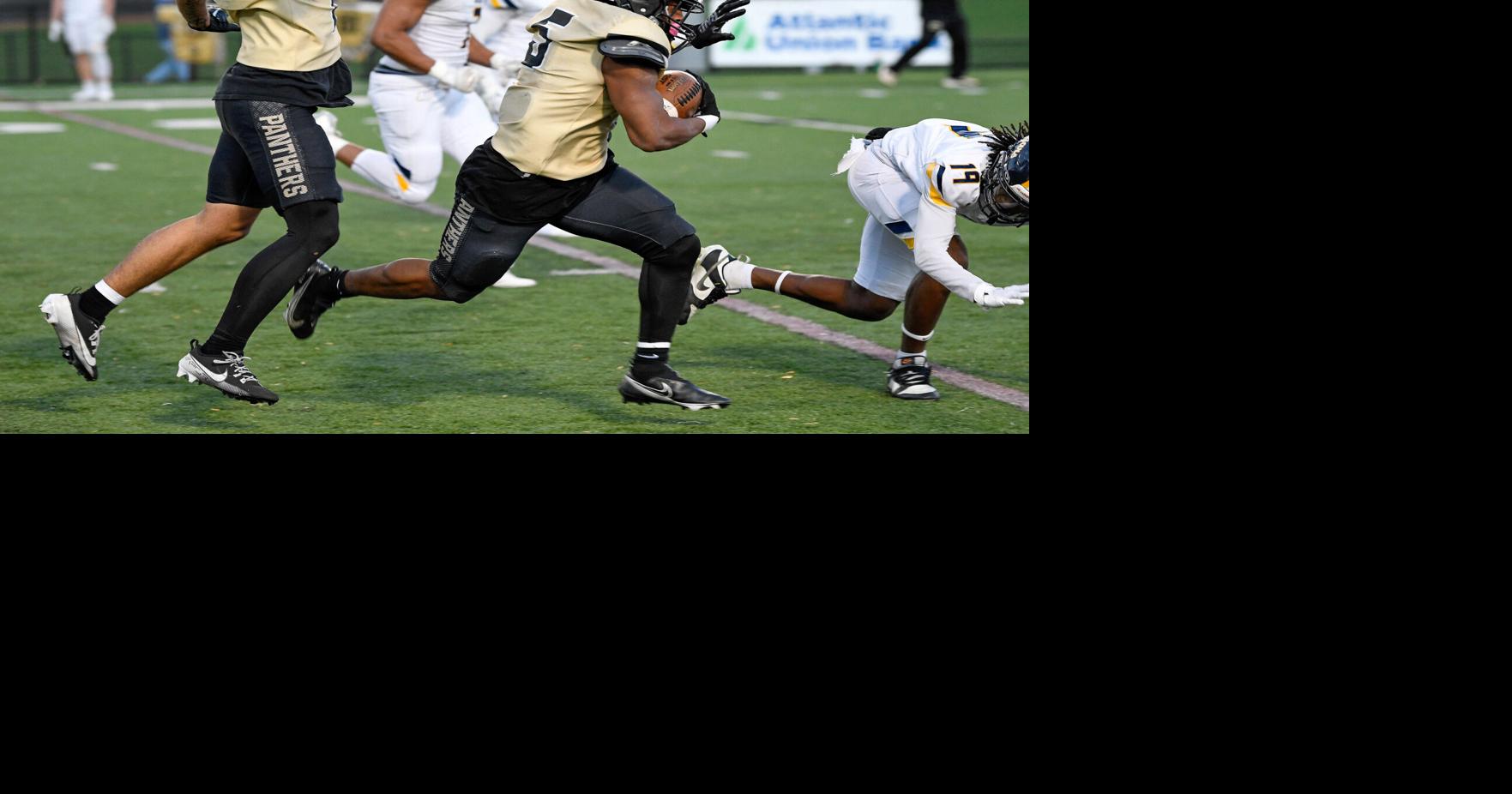 Lee leads Panthers to 35-6 win over Averett to close out football season
