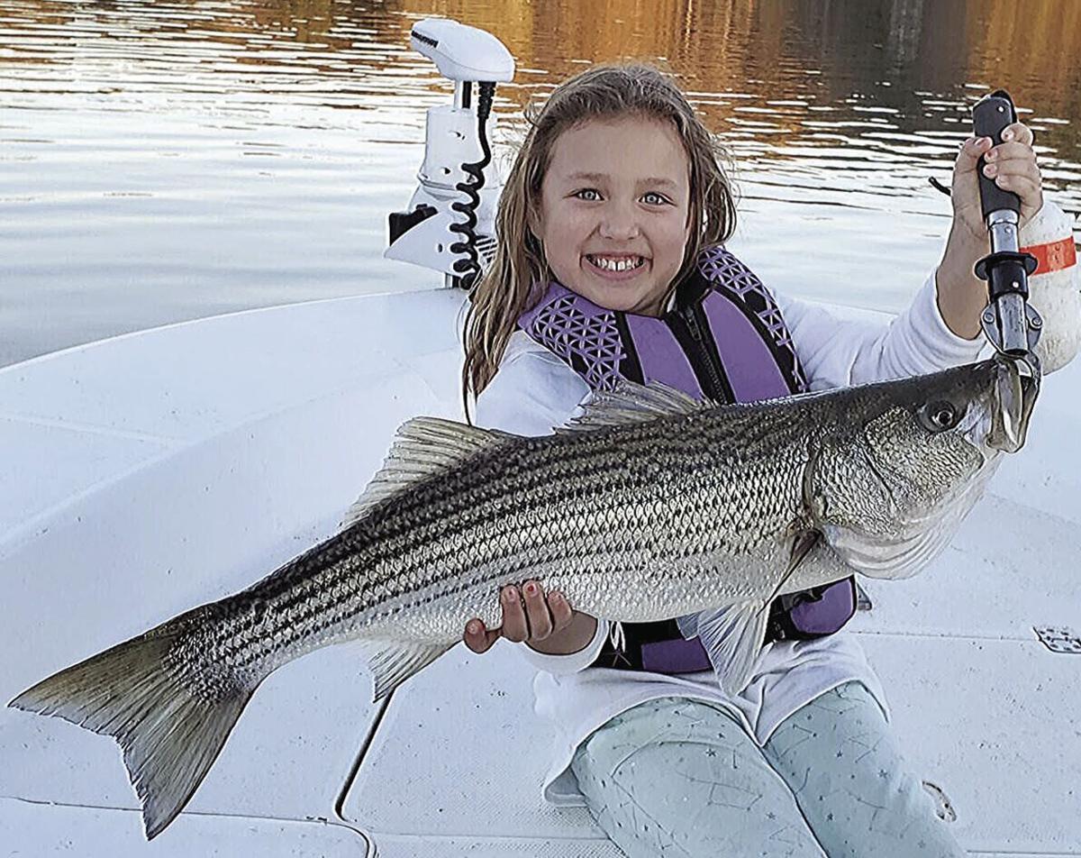 Smith Mountain Striper