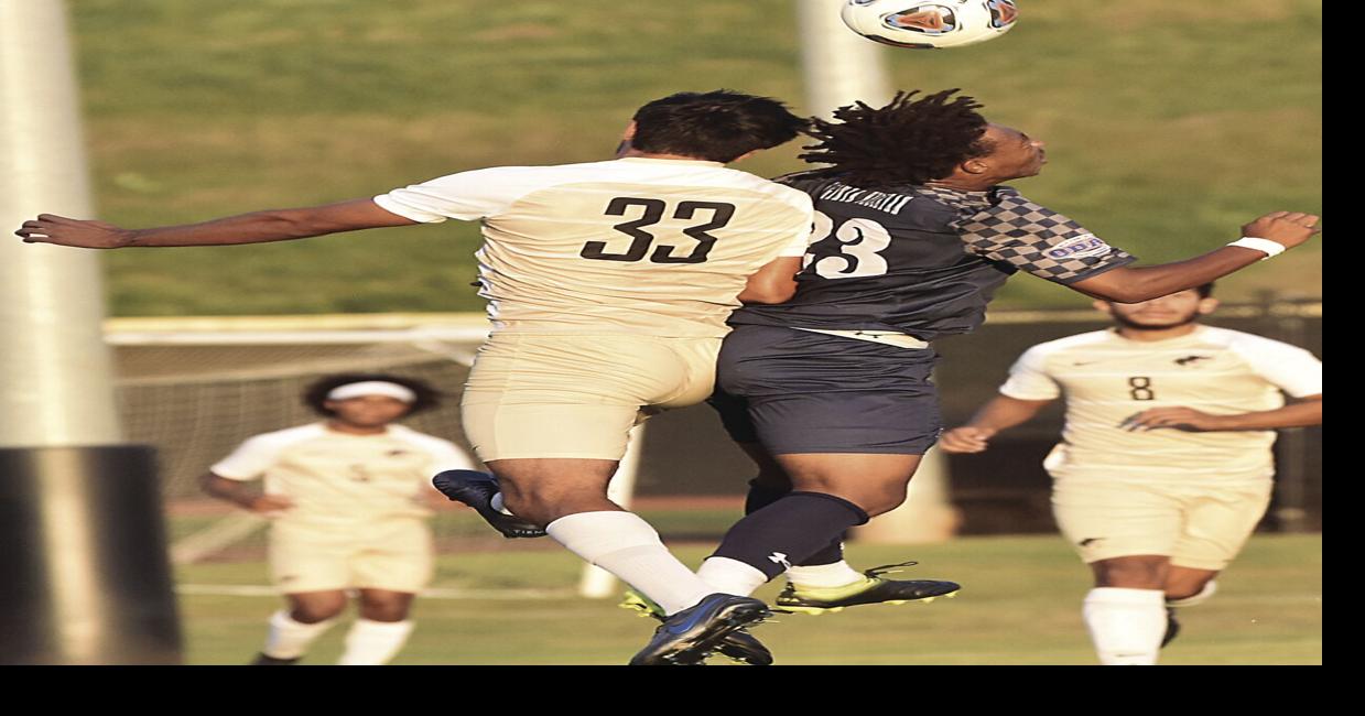 Panthers On The Pitch