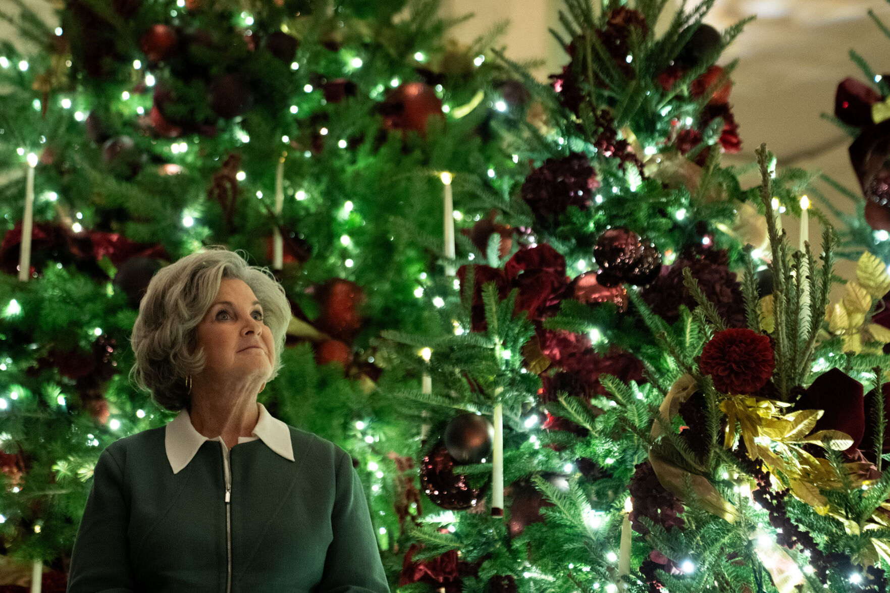 Takeaways from Susan Wiles' candid interview to Vanity Fair