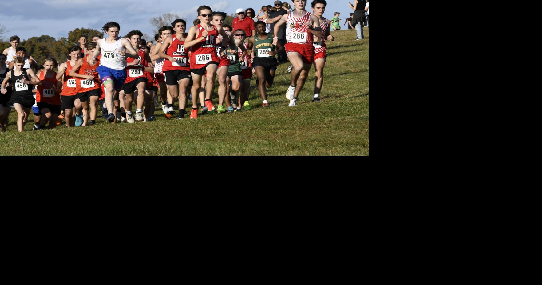 Franklin County sweeps team titles at Blue Ridge District cross country ...