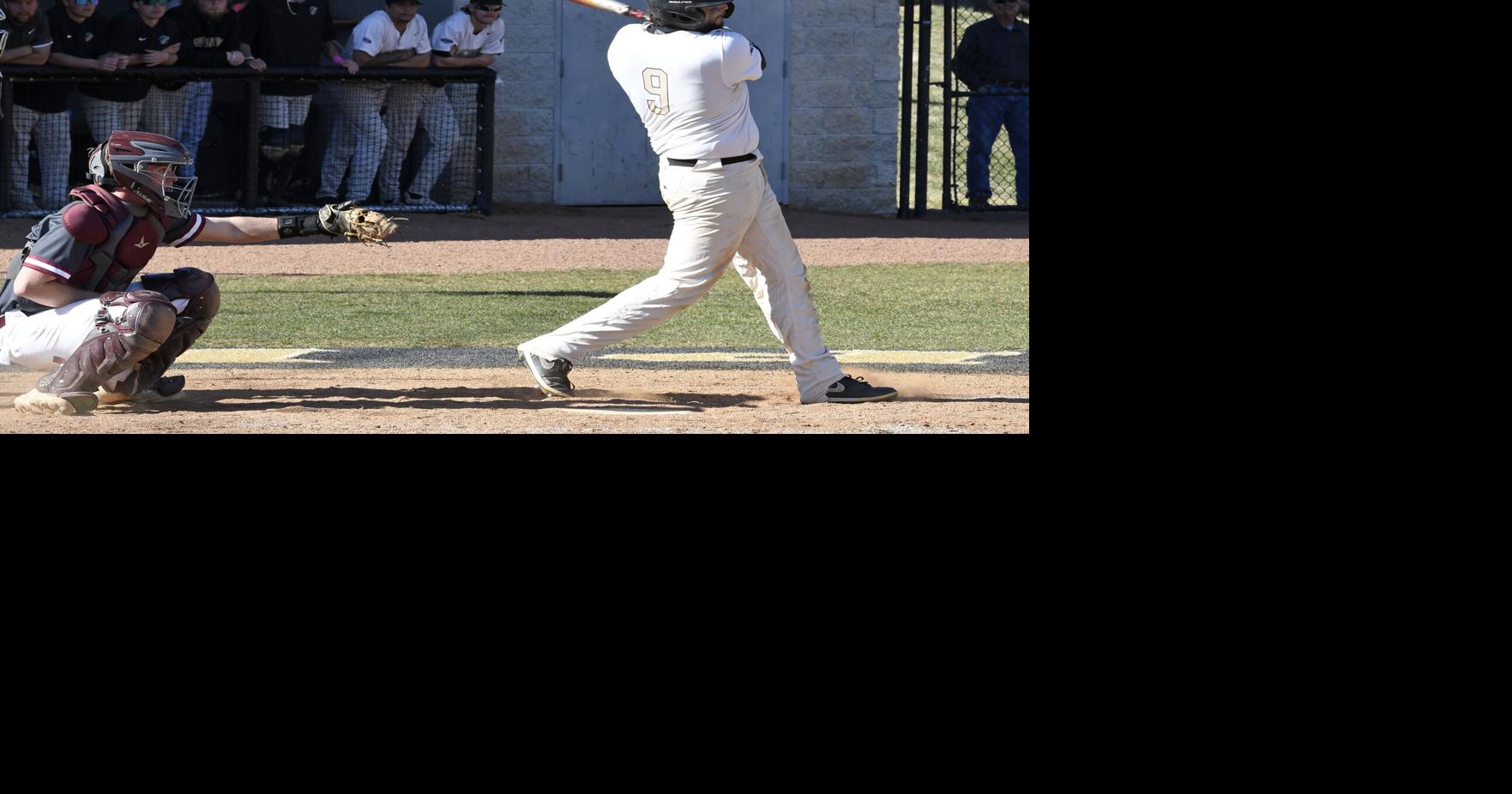 Panthers baseball splits doubleheader with Eagles