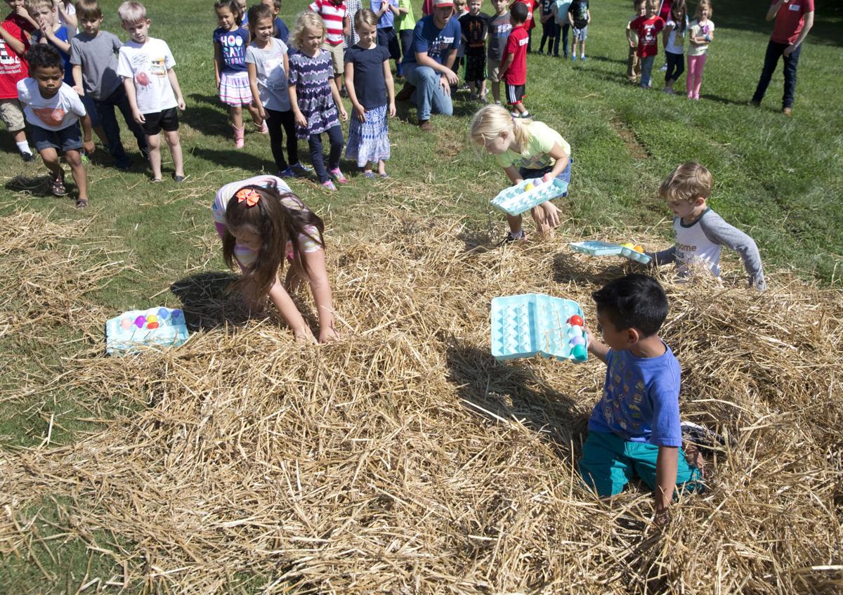 Franklin County Agricultural Fair draws record crowd on final day ...