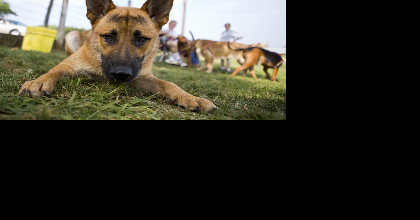 Franklin Supervisors 100% in favor of dog park at Westlake
