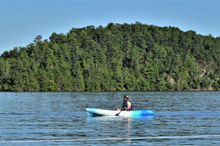 Enter the Wild: Discovering Philpott