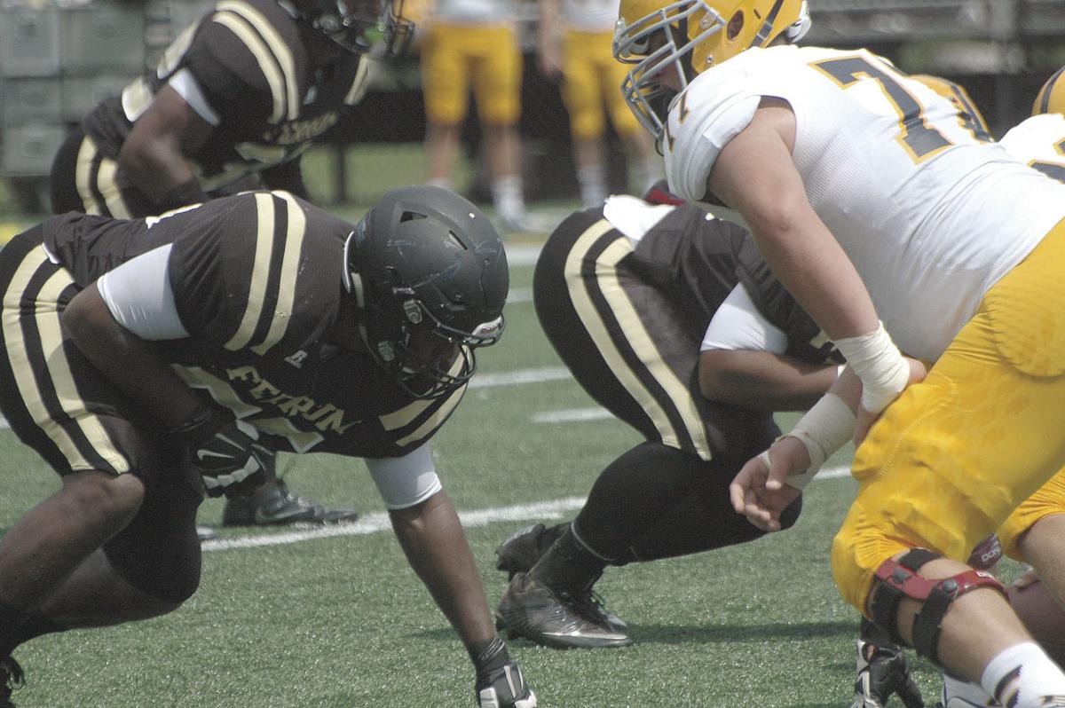 COLLEGE FOOTBALL: Four Ferrum players garner All-State honors