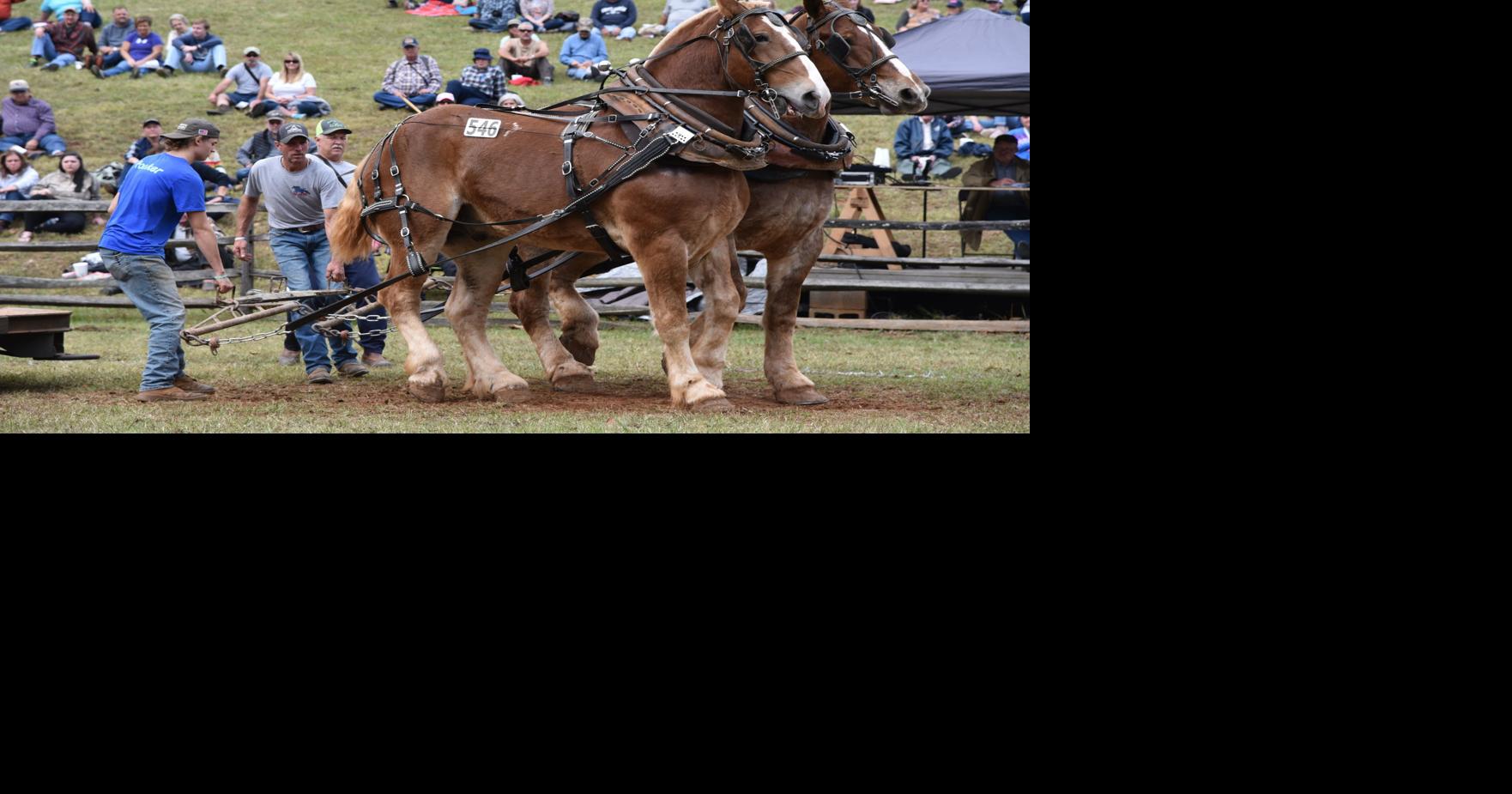 Blue Ridge Folklife Festival is tomorrow