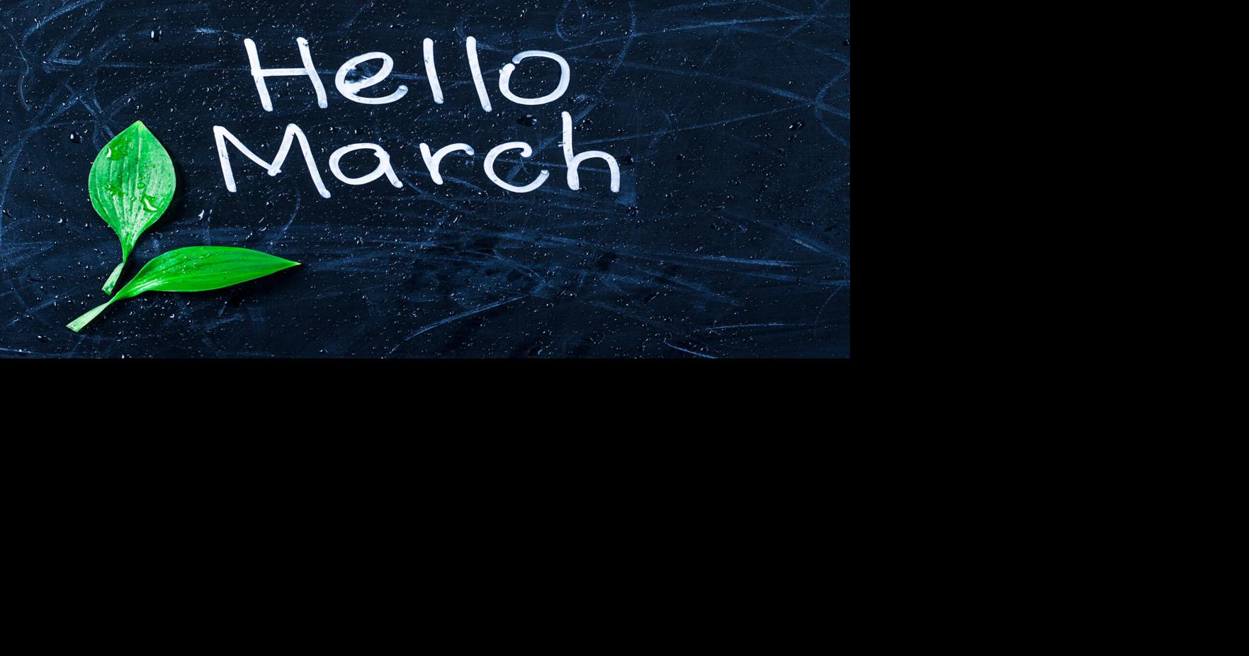 Welcome March: Discover what's happening this coming month | Coast To ...