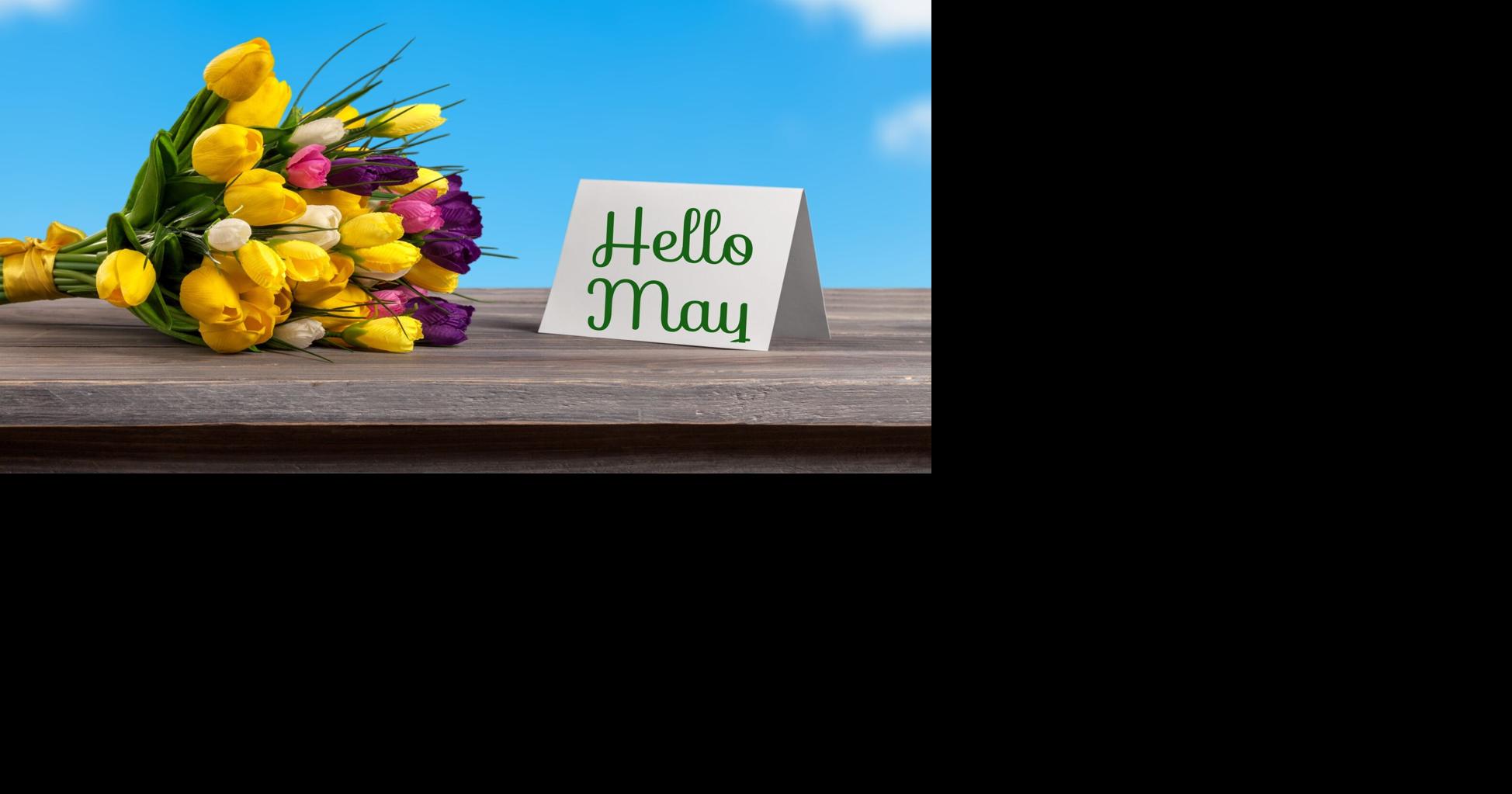 List of Must-Celebrate Events and Observances Happening in May 2023 ...