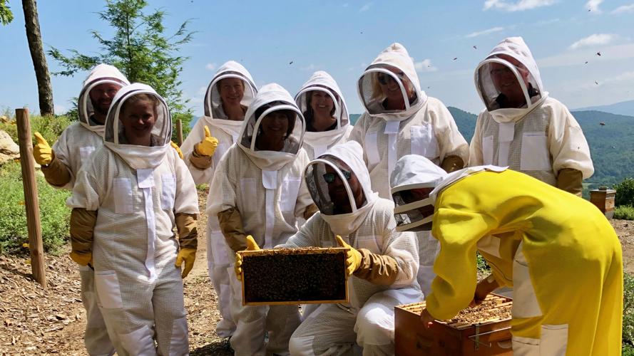 Take a destination tour of Killer Bees Honey Bee Farm | Outdoors ...