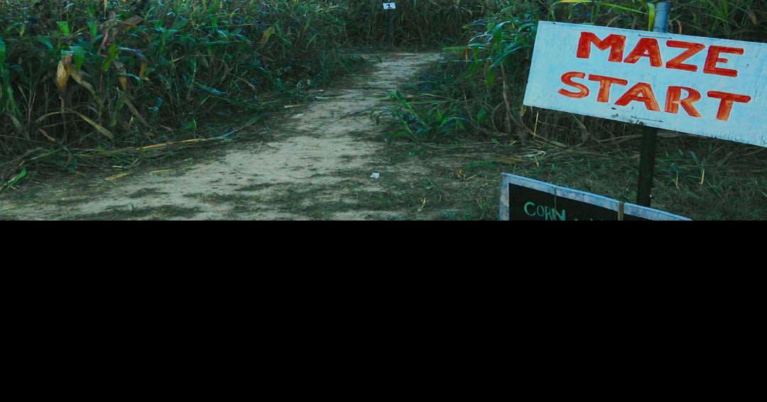 Get lost on a corn maze adventure | Festivals + Events | theguidewnc.com