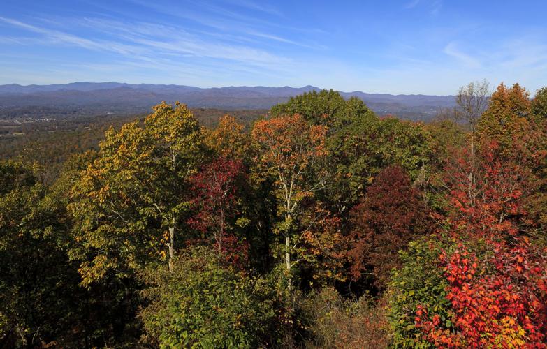 Embrace the scenic beauty of fall | Outdoors | theguidewnc.com