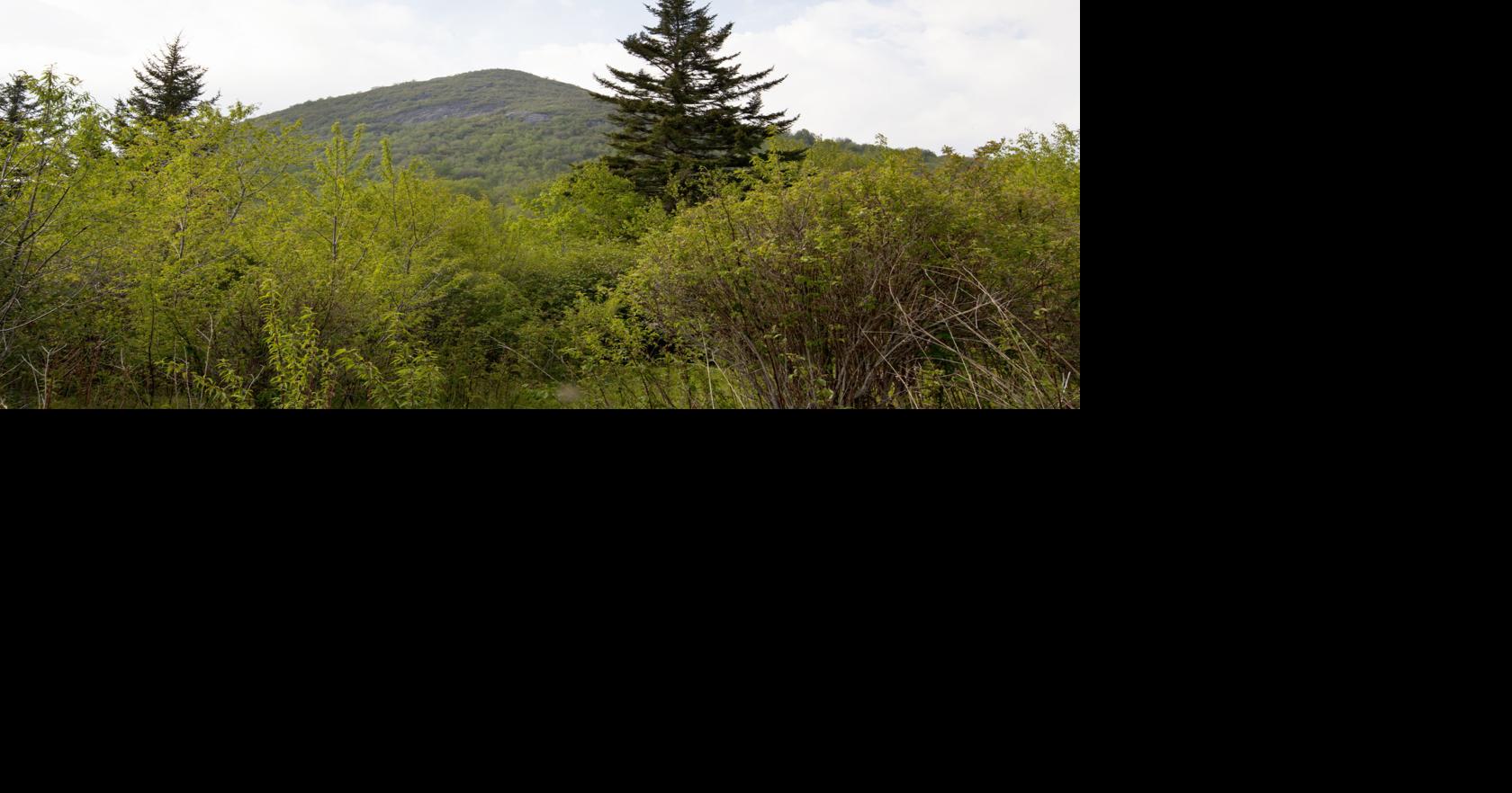 Hike to the base of Sam Knob | Outdoors | theguidewnc.com
