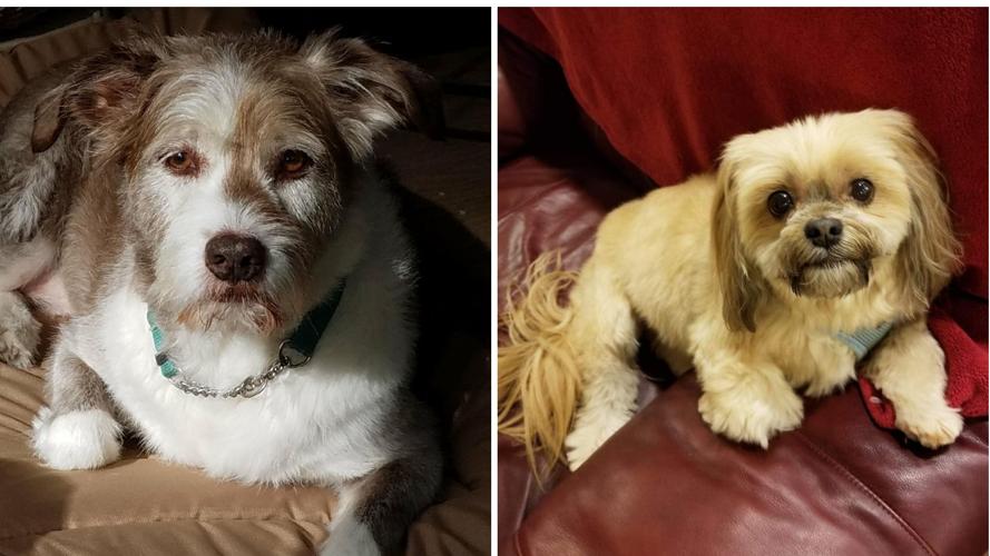 Ian and Jojo's Pizzeria is open | Food And Drink | theguidewnc.com