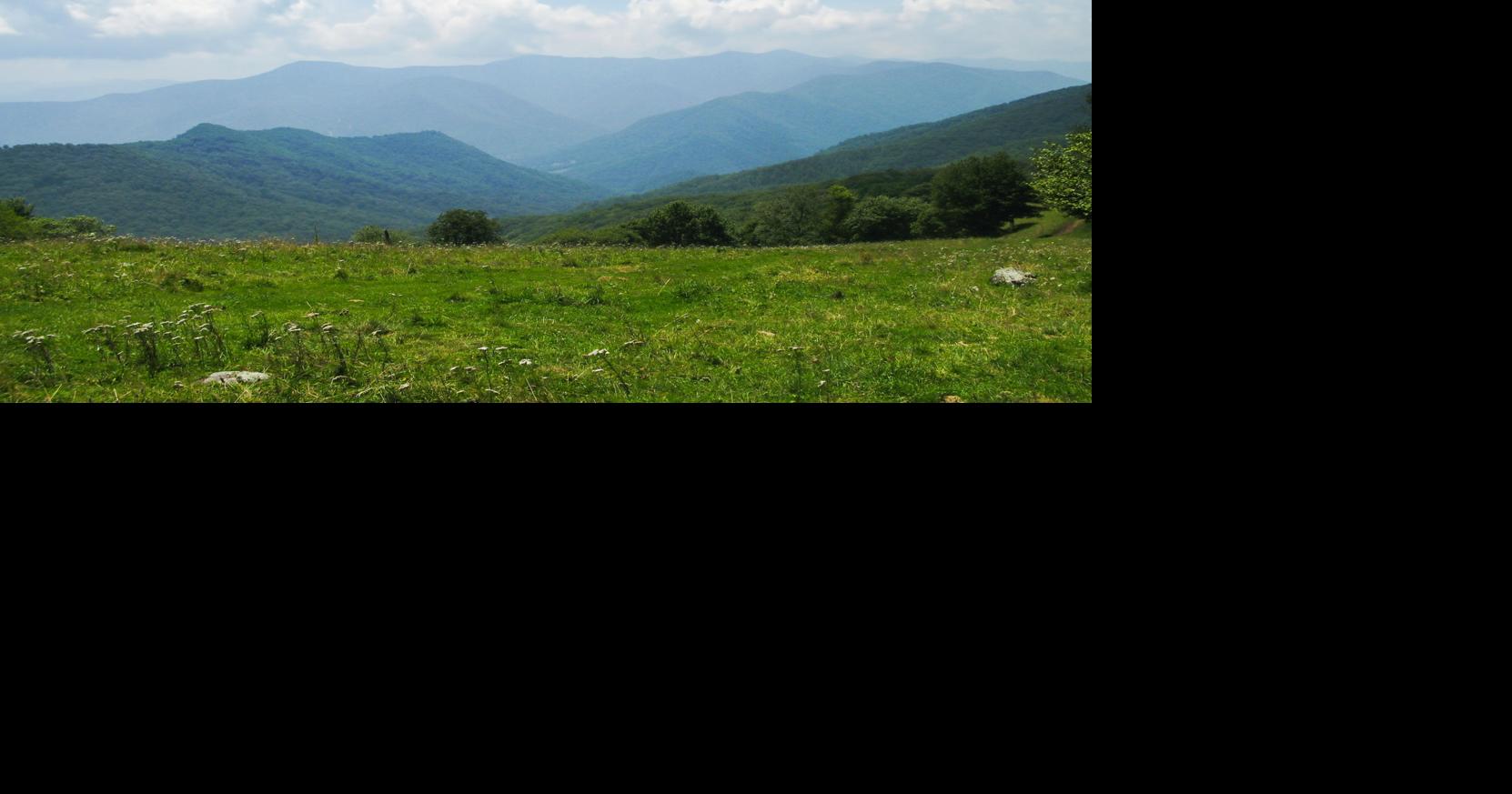 Smokies Hike of the Month: Hemphill Bald Trail | Outdoors | theguidewnc.com
