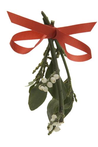 The holiday folklore around mistletoe | Outdoors | theguidewnc.com