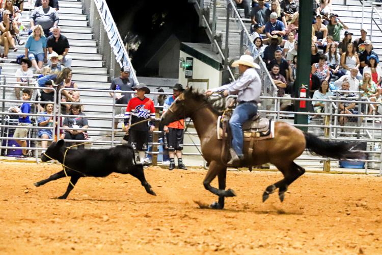 Locals Compete At 11th Annual Fall Arcadia Rodeo | Sports ...