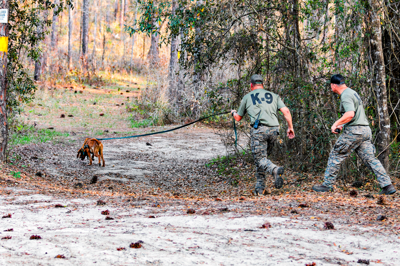 Hardee Correctional Institution Takes Second Place in Regional K9 ...