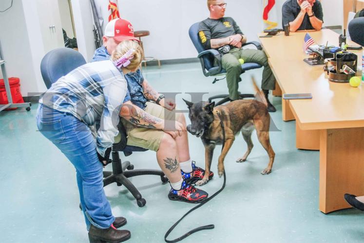 ‘Zeus’ Retires After Impressive Law Enforcement Career At HCSO | News ...