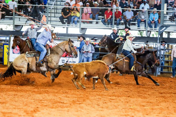 Local Cowboy Wins Back-To-Back Titles | Sports | theheraldadvocate.com