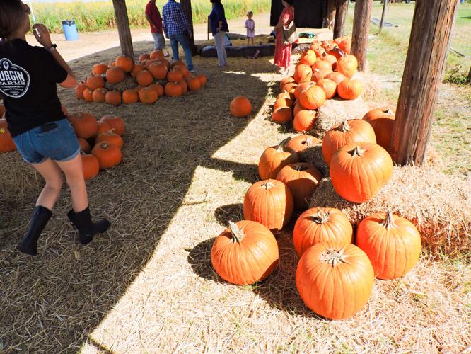 Burgin Farm Hosts Agri-tourism Event | Events | theheraldadvocate.com