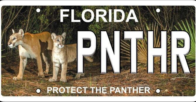 New Panther License Plate Available | News | theheraldadvocate.com