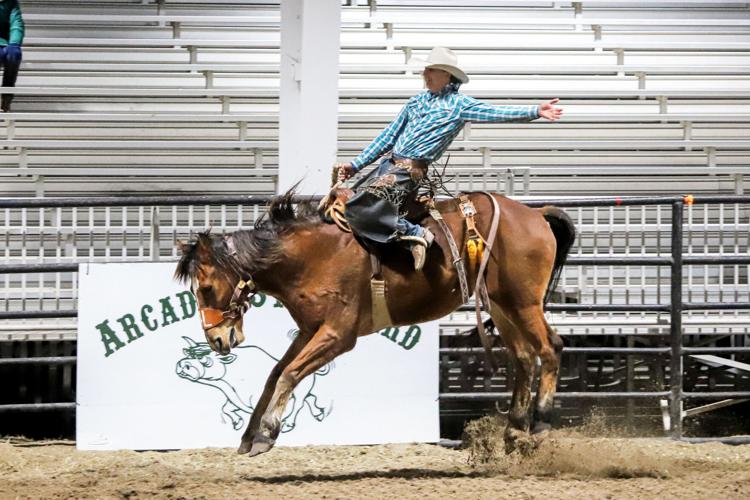 Peace River Pro Rodeo Classic Held At Cattlemen’s Arena | Sports ...