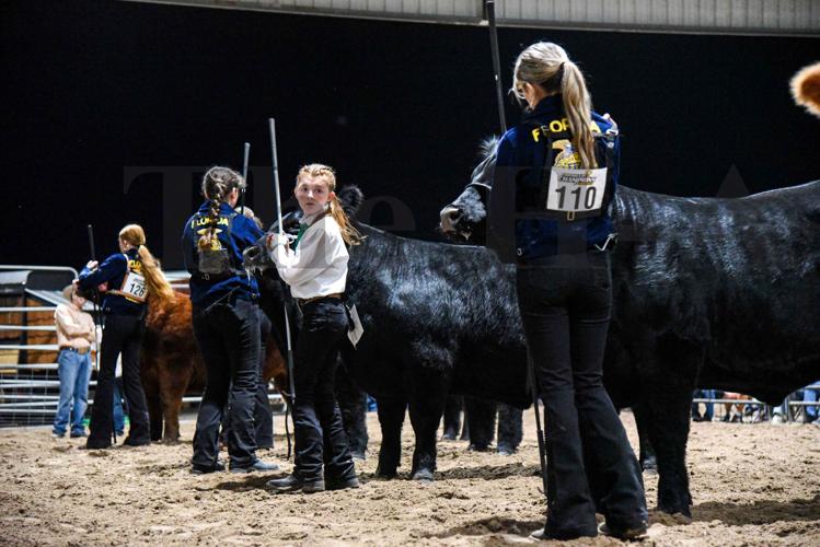 Bovines Impress At 2025 Hardee County Fair | News | theheraldadvocate.com