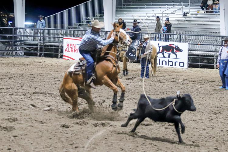 Peace River Pro Rodeo Classic Held At Cattlemen’s Arena | Sports ...