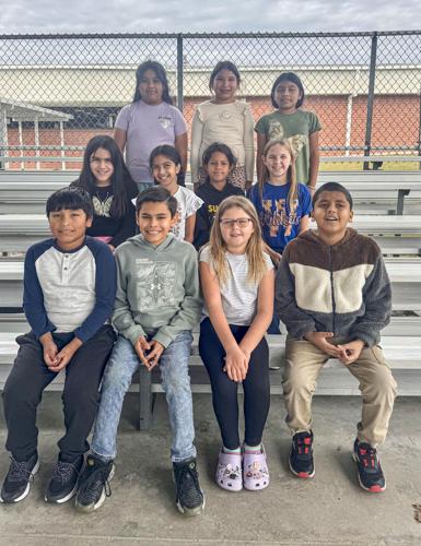 Wauchula Elementary School Names Top Cats | Education News ...