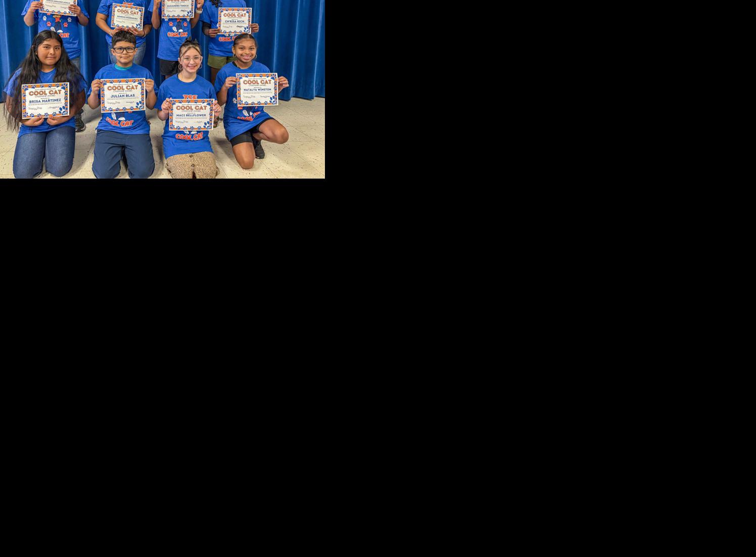 ZSE Names Cool Cats Of Third Quarter | Education News ...