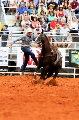Local Cowboys & Cowgirls Compete In 10th Annual Arcadia Fall Rodeo ...