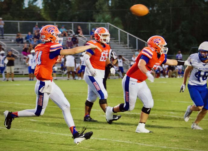 Hardee Out ‘Catted By Panthers | Sports | theheraldadvocate.com