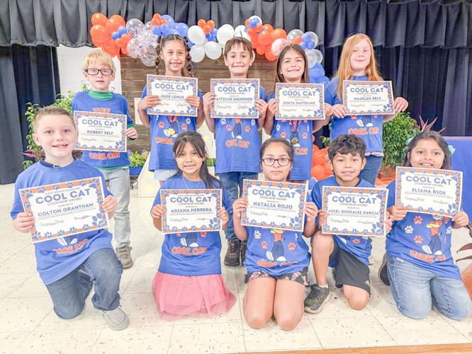 ZSE Names Cool Cats Of Fourth Quarter | Education News ...