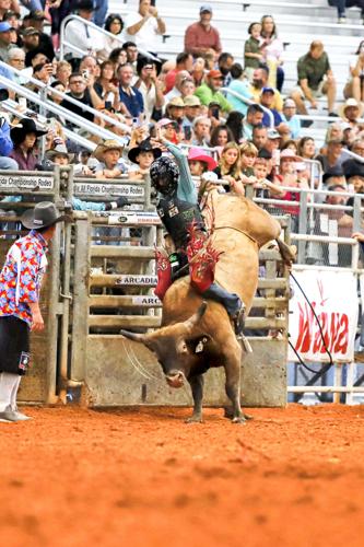 Locals Compete At 11th Annual Fall Arcadia Rodeo | Sports ...