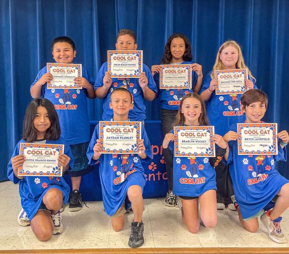 ZSE Announces Cool Cats Of First Quarter | Education News ...