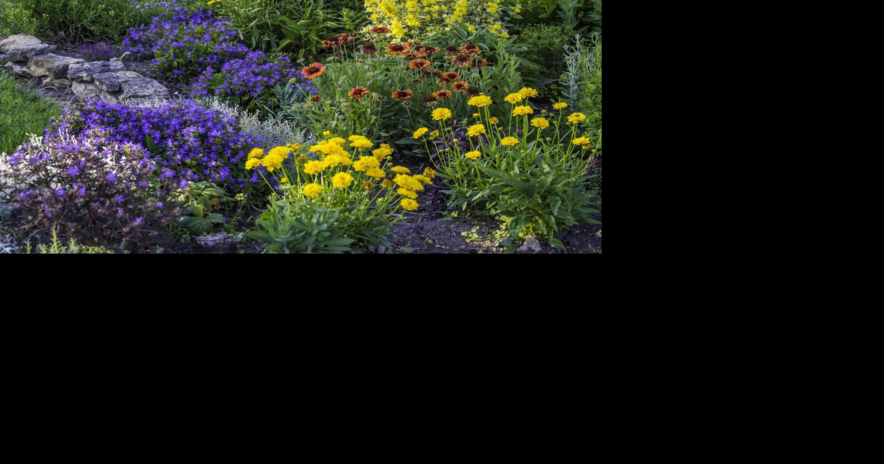 Master Gardener: Late summer care is 'perennial' | Lifestyles | thelcn.com