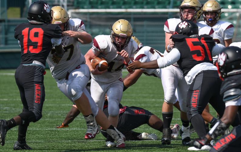 Dansville/Way-Co football merge has been a huge hit as DWC hosts ...