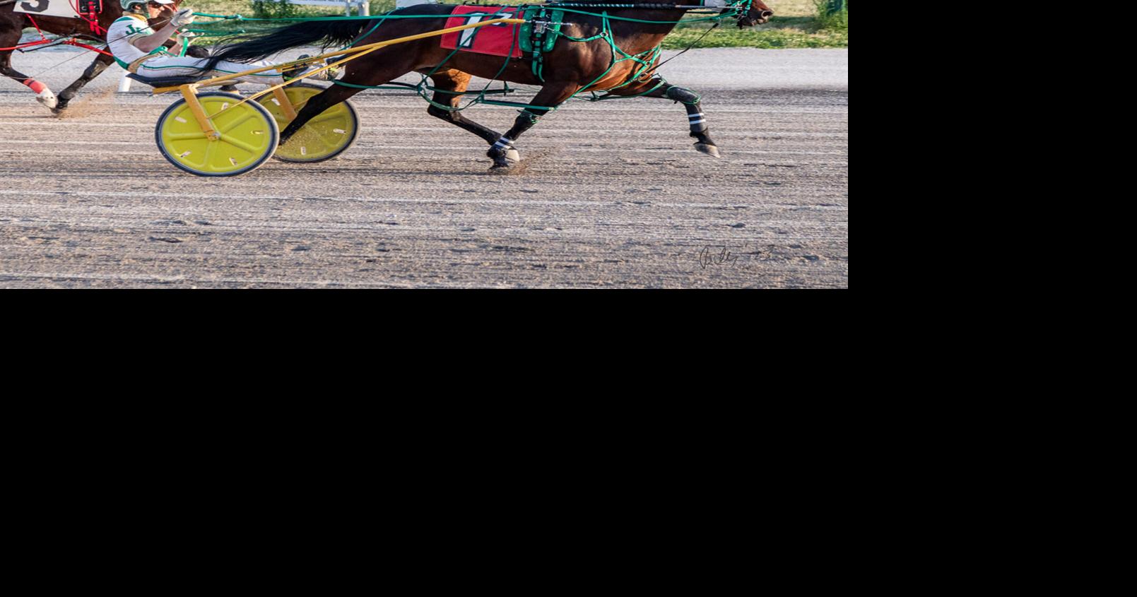 HORSE RACING: Villiam reaches top of the ladder Saturday at Buffalo ...