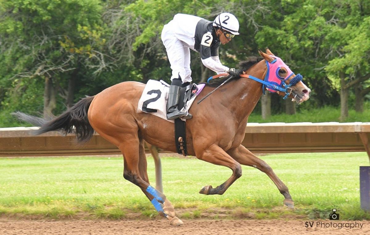 HORSE RACING: Finger Lakes hosting $50,000 Jack Betta Be Rite Stakes ...