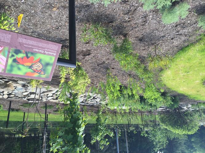 New nature center has strong focus on ecology | Lifestyles | thelcn.com