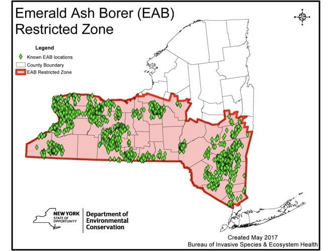 State revises emerald ash borer quarantine map | Local News | thelcn.com