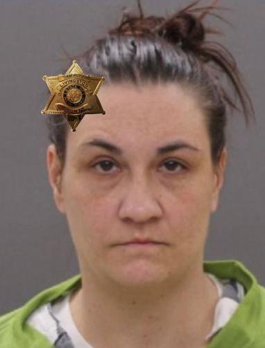 Dansville woman facing multiple larceny charges, identity theft | News ...