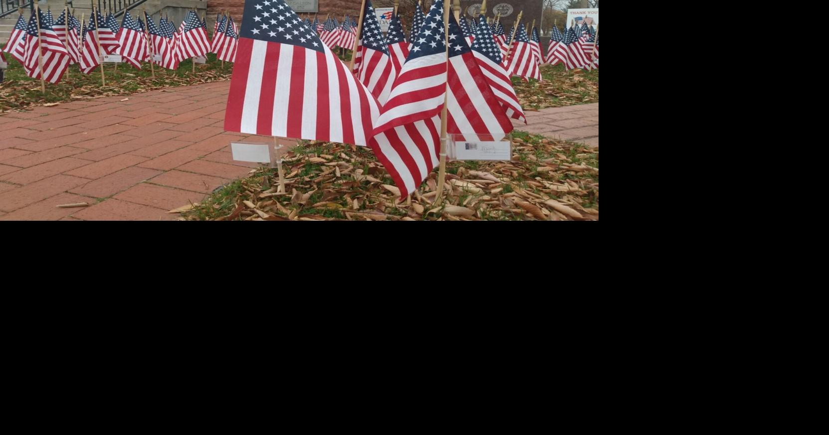 Lima DAR flag display honors local veterans | Local News | thelcn.com