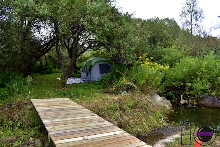 Gainesville concert to feature comedy, gaming and tree planting | Game ...