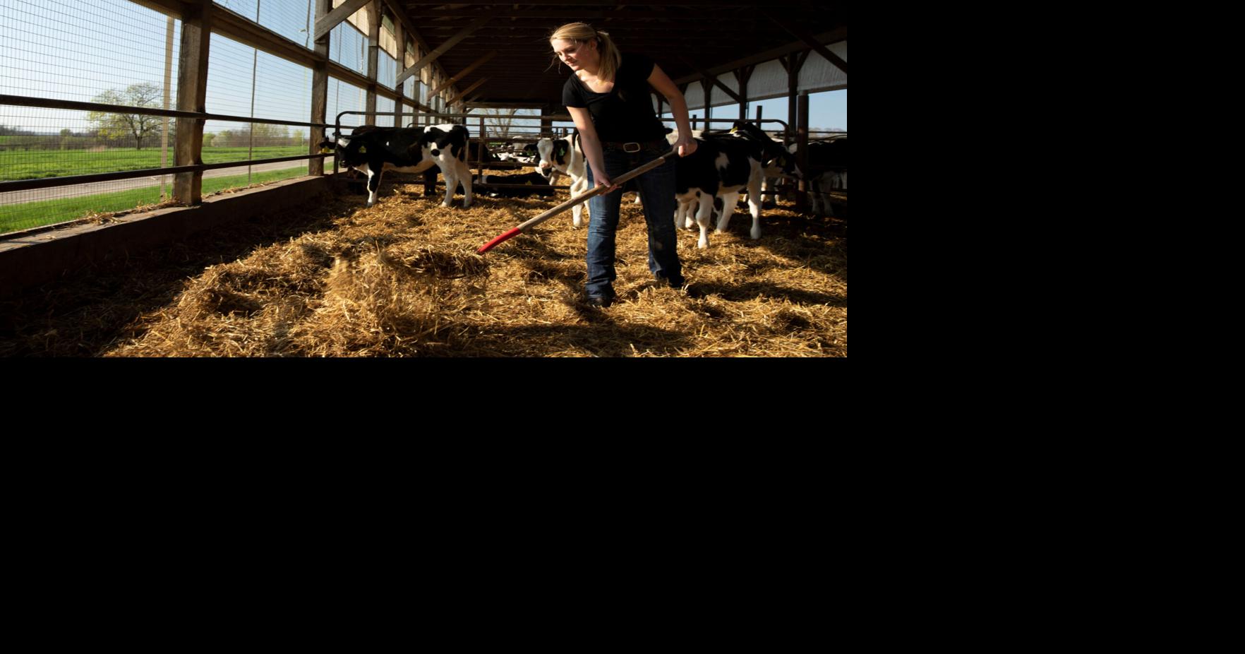 Avon farm offers virtual visit to area students | Local News | thelcn.com