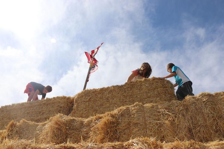 Farm Fest: Ag celebration entertains and educates all ages | Local News ...