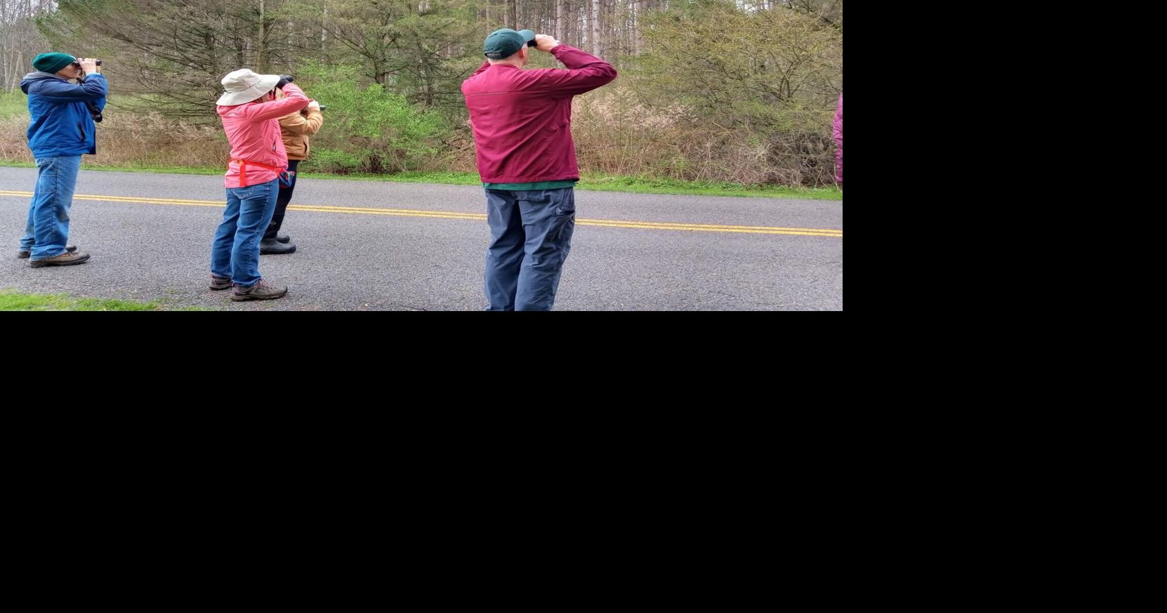 Genesee Valley Birding Cup begins today | News | thelcn.com