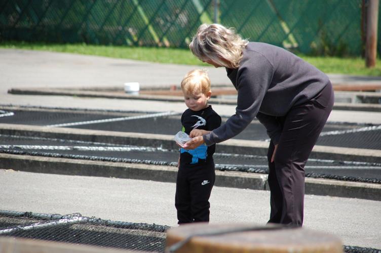 Caledonia Fish Hatchery to see $7.4M in renovations | News | thelcn.com