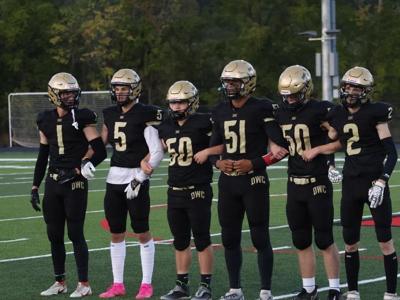 SEC. V FOOTBALL: Dansville/Wayland-Cohocton falls to Honeoye Falls-Lima ...